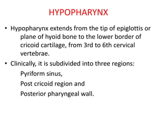 Anatomy of Pharynx | PPTX