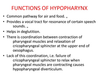 Anatomy of Pharynx | PPTX