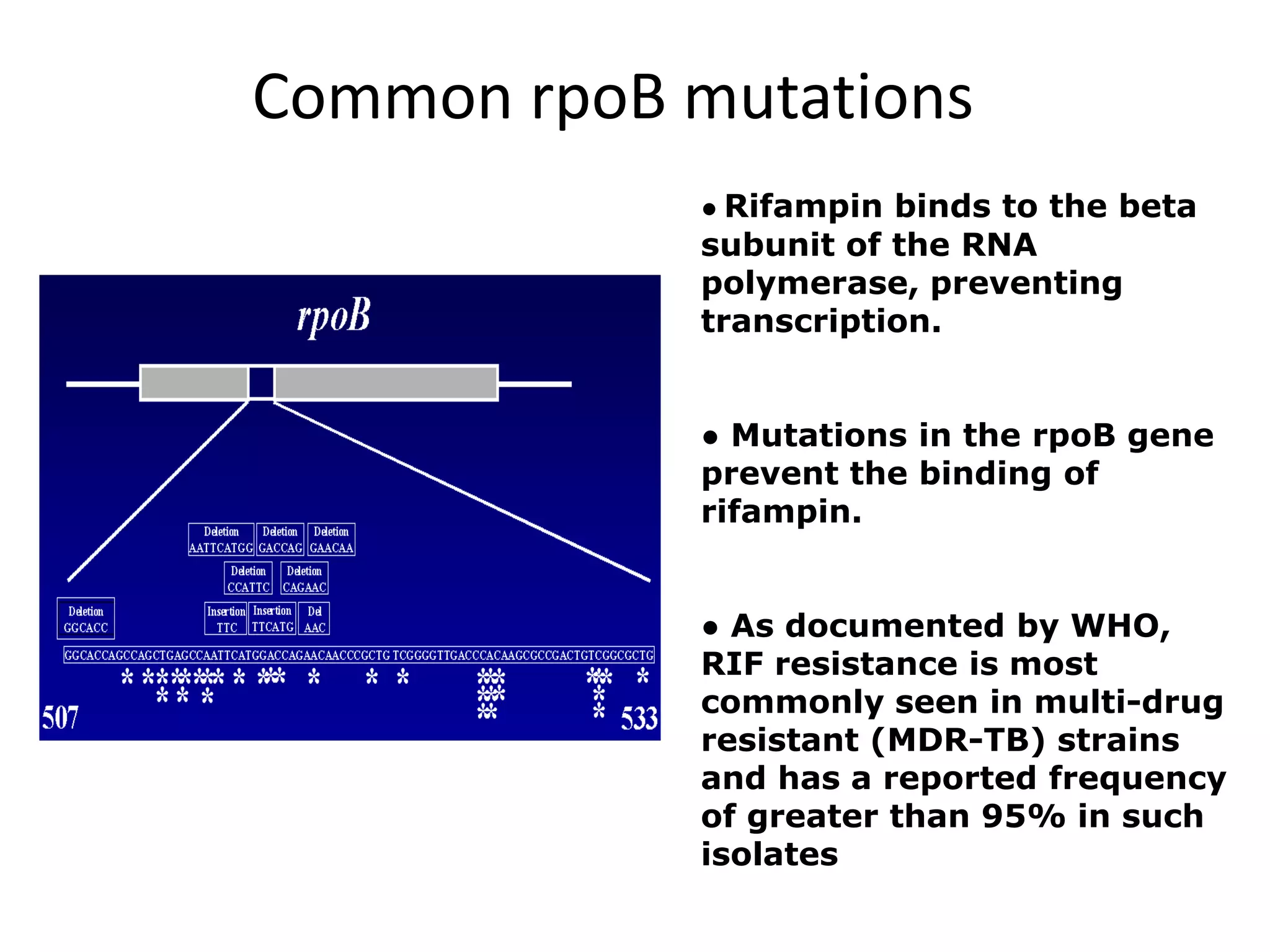 Xpert- MTB-RIF Data _Biman | PDF