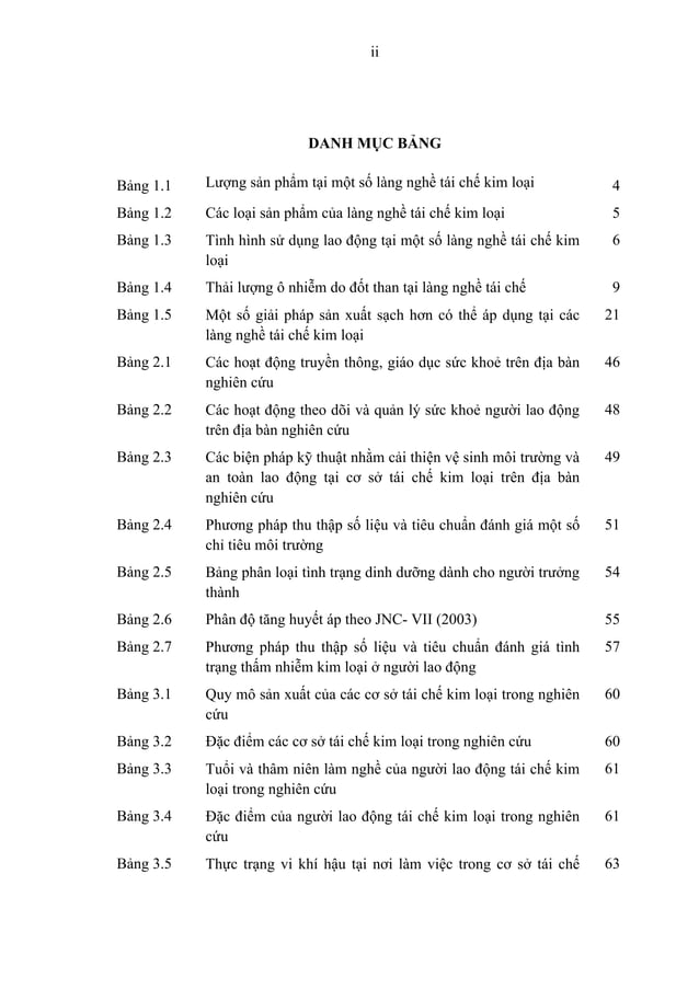 Đề tài: Ô nhiễm môi trường tại làng nghề tái chế kim loại Văn Môn | PDF