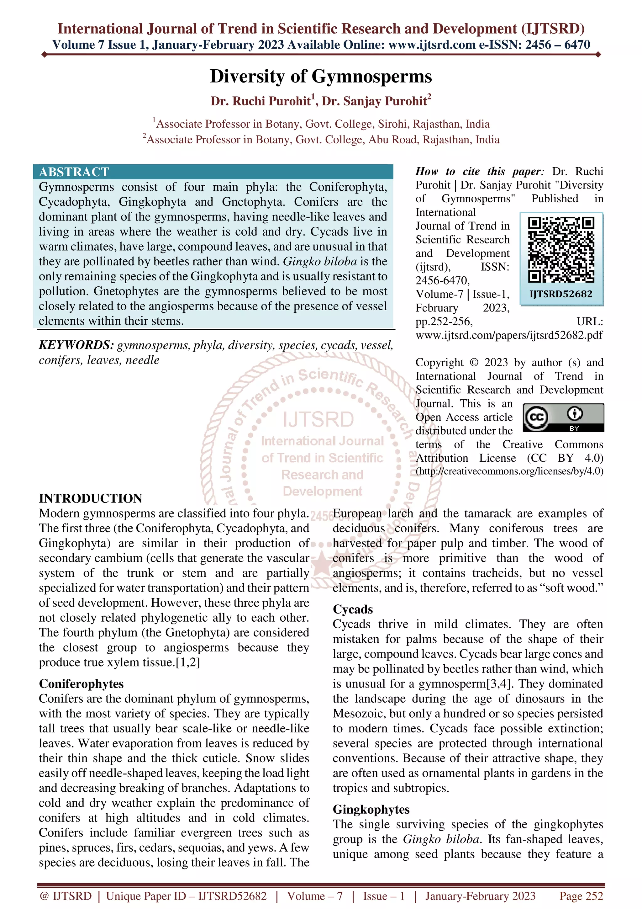 Diversity of Gymnosperms | PDF