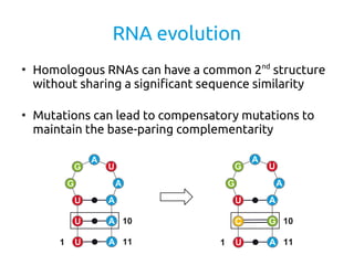 AB-RNA-alignments-2011 | PPT