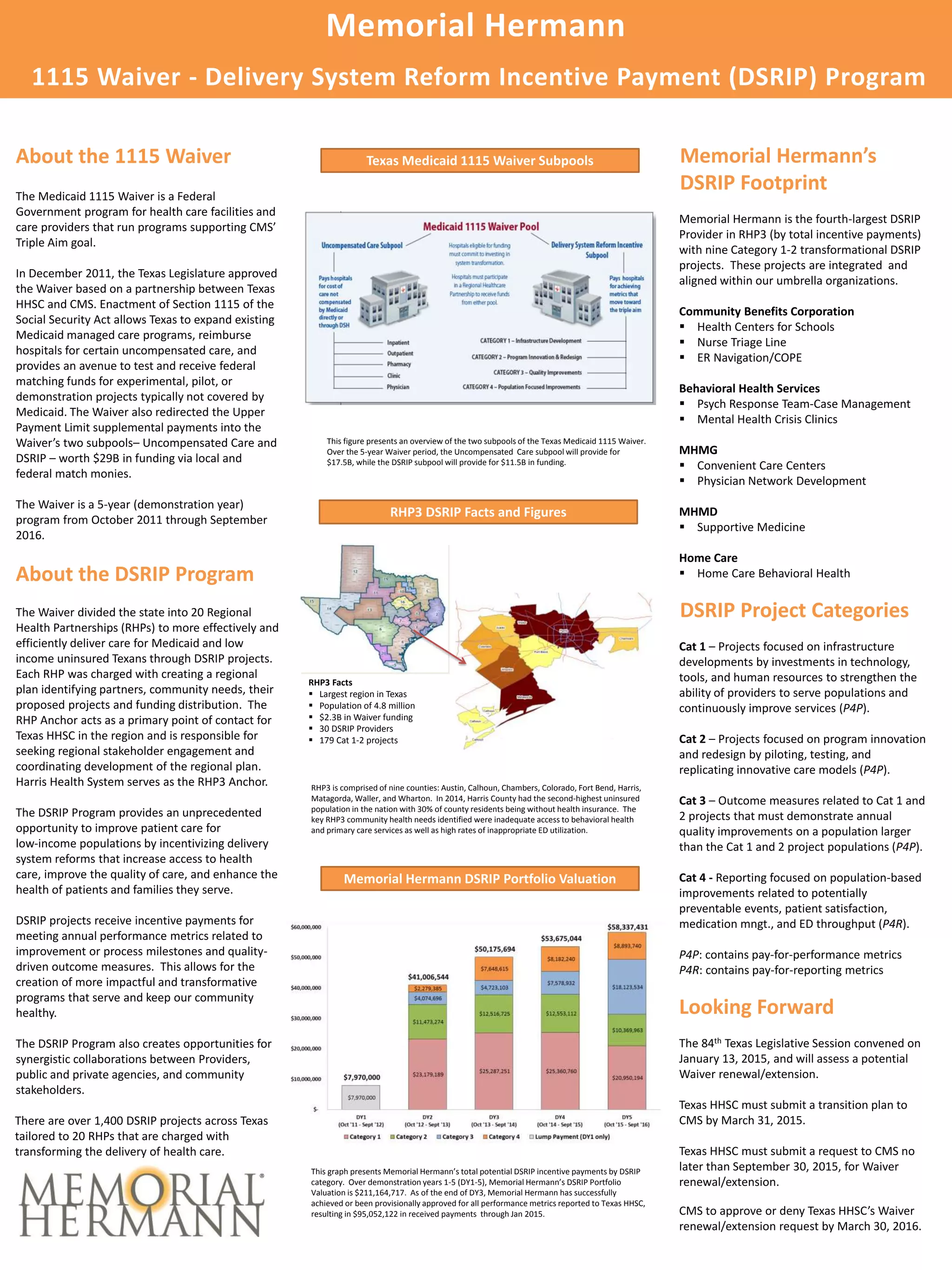 DSRIP Program Overview | PDF