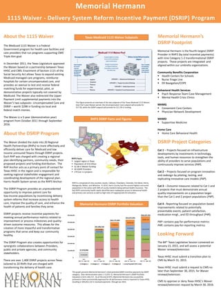 DSRIP Program Overview | PDF
