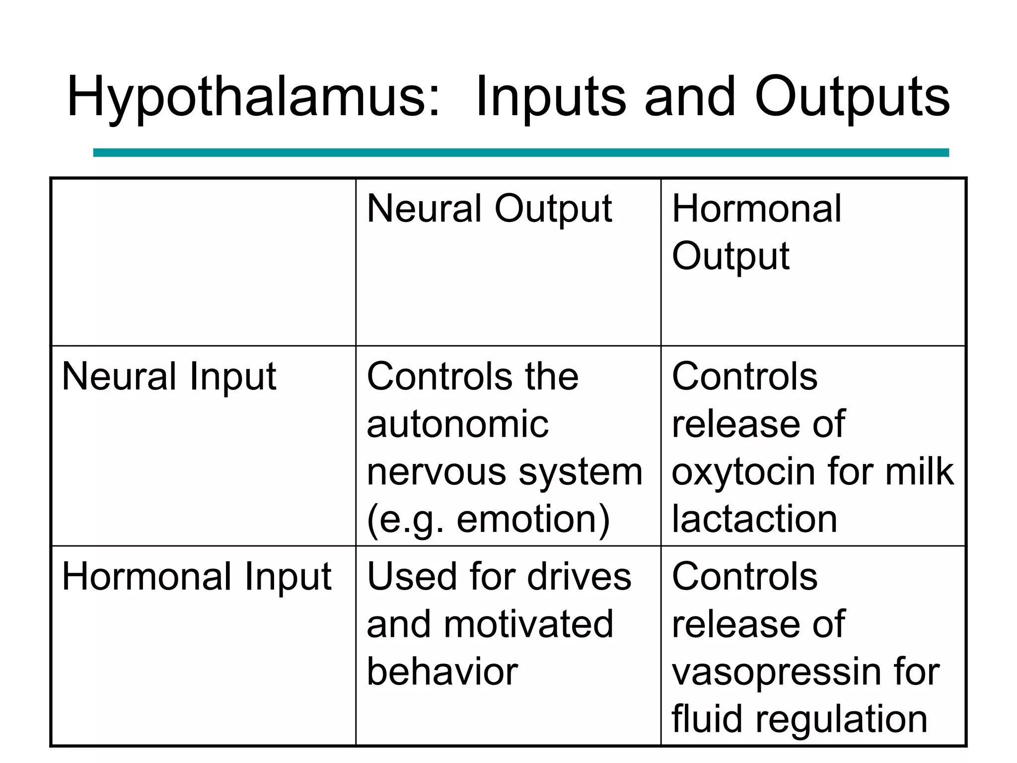 hypothalamus and limbic system | PPT