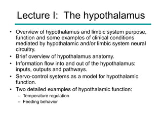 hypothalamus and limbic system | PPT