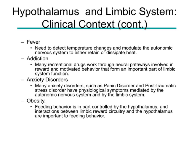 hypothalamus and limbic system | PPT