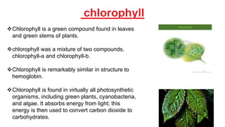 STRUCTURE OF CHLOROPHYLL | PPTX | Chemistry | Science
