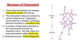 STRUCTURE OF CHLOROPHYLL | PPTX