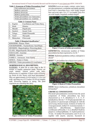 Valorization of Tridax Procumben | PDF | Gardening | Home & Garden