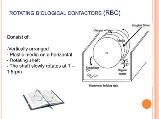 Biological wastewater treatment. MB.Luong Nguyen Thanh | PPTX