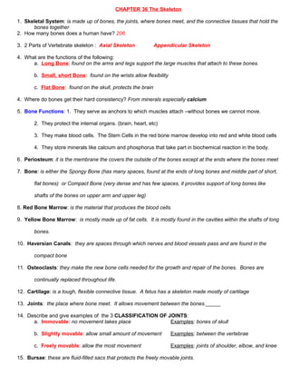 Skeletal System Notes | DOC