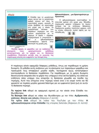 37. Η κτηνοτροφική παραγωγή και η αλιεία στην Ελλάδα | PDF