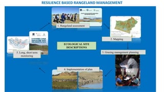 Soum rangeland management planning guideline | PDF