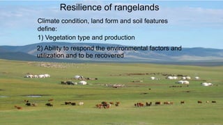 Soum rangeland management planning guideline | PDF
