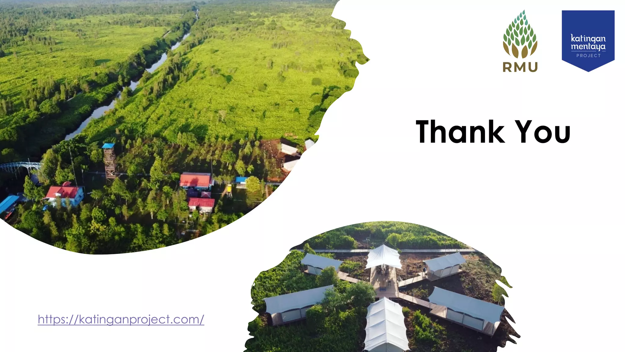 Katingan Mentaya Project by Rimba Makmur Utama | PPT
