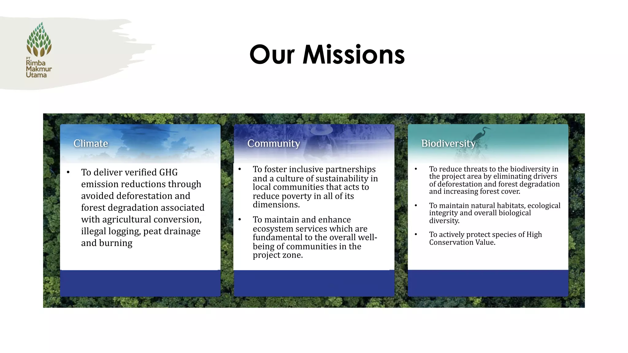 Katingan Mentaya Project by Rimba Makmur Utama | PPT