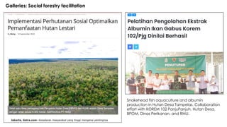 Katingan Mentaya Project by Rimba Makmur Utama | PPT