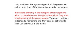 37. FATTY ACID OXIDATION.pptx