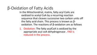 37. FATTY ACID OXIDATION.pptx