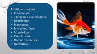 Goldfish Introduction , Morphology & its behaviour characteristics | PDF