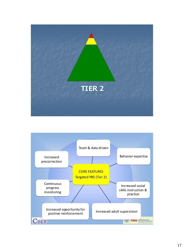 the-role-of-paraeducator-in-a-pbis-school