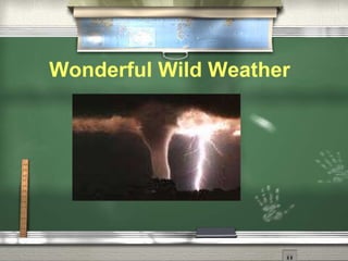 Wonderful, Wild Weather | PPT