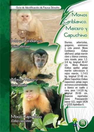 Guia-identificacion-fauna-silvestre-colombian | PDF