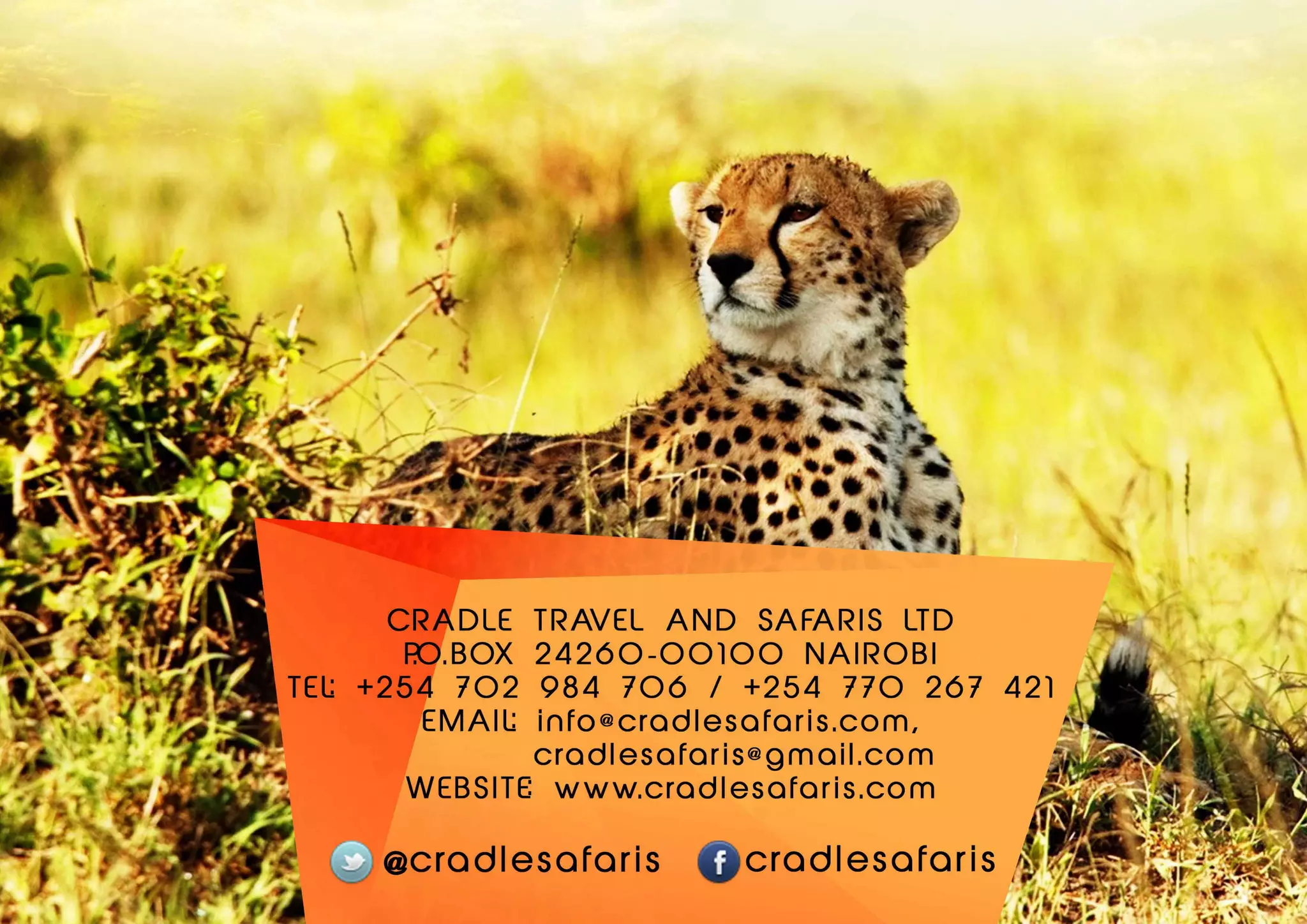 Cradle Safaris Company Profile | PDF