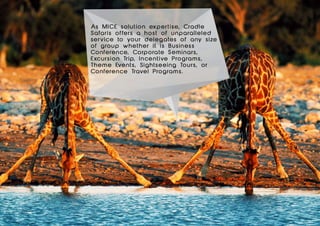 Cradle Safaris Company Profile | PDF