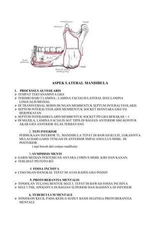 370692778-Tulang-mandibula.docx