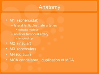370 MCA aneurysm | PPT