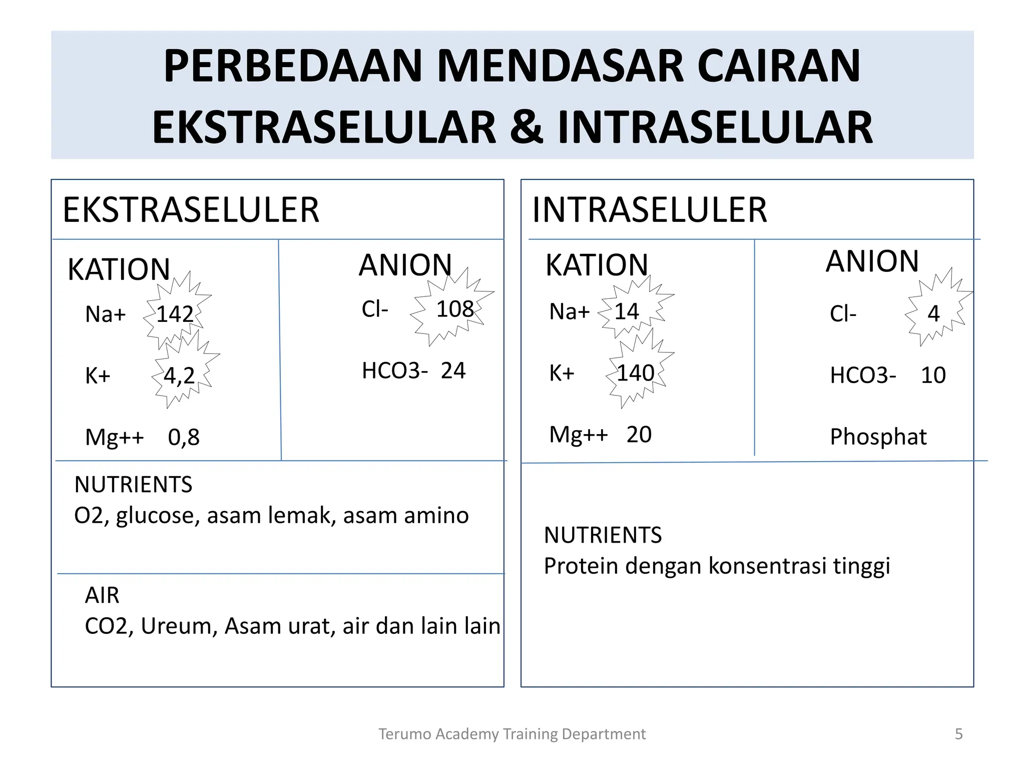 371021838-Pelatihan-Pemasangan-Infus-Terumo.pptx