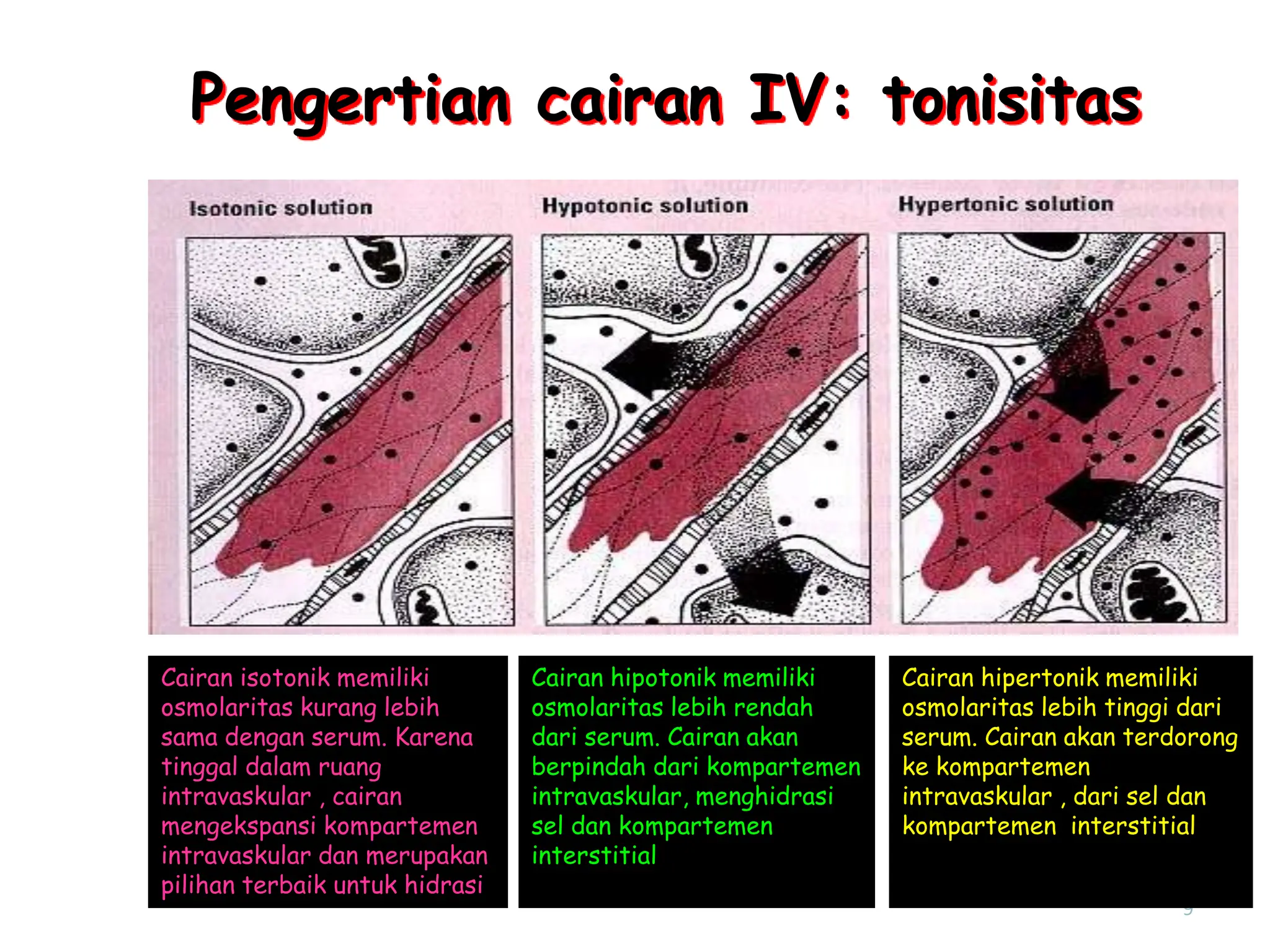 371021838-Pelatihan-Pemasangan-Infus-Terumo.pptx