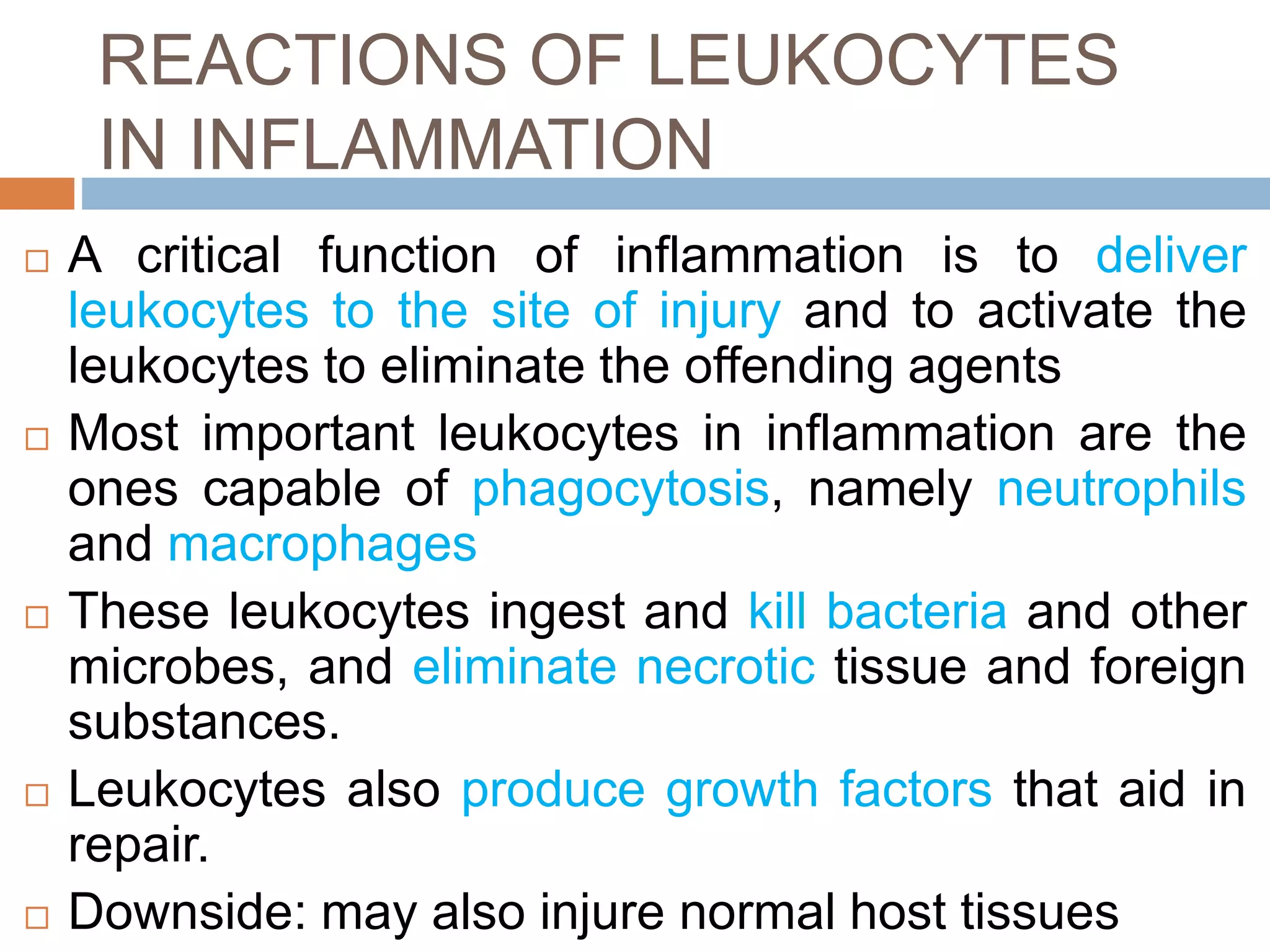 Inflammation and repair | PPTX