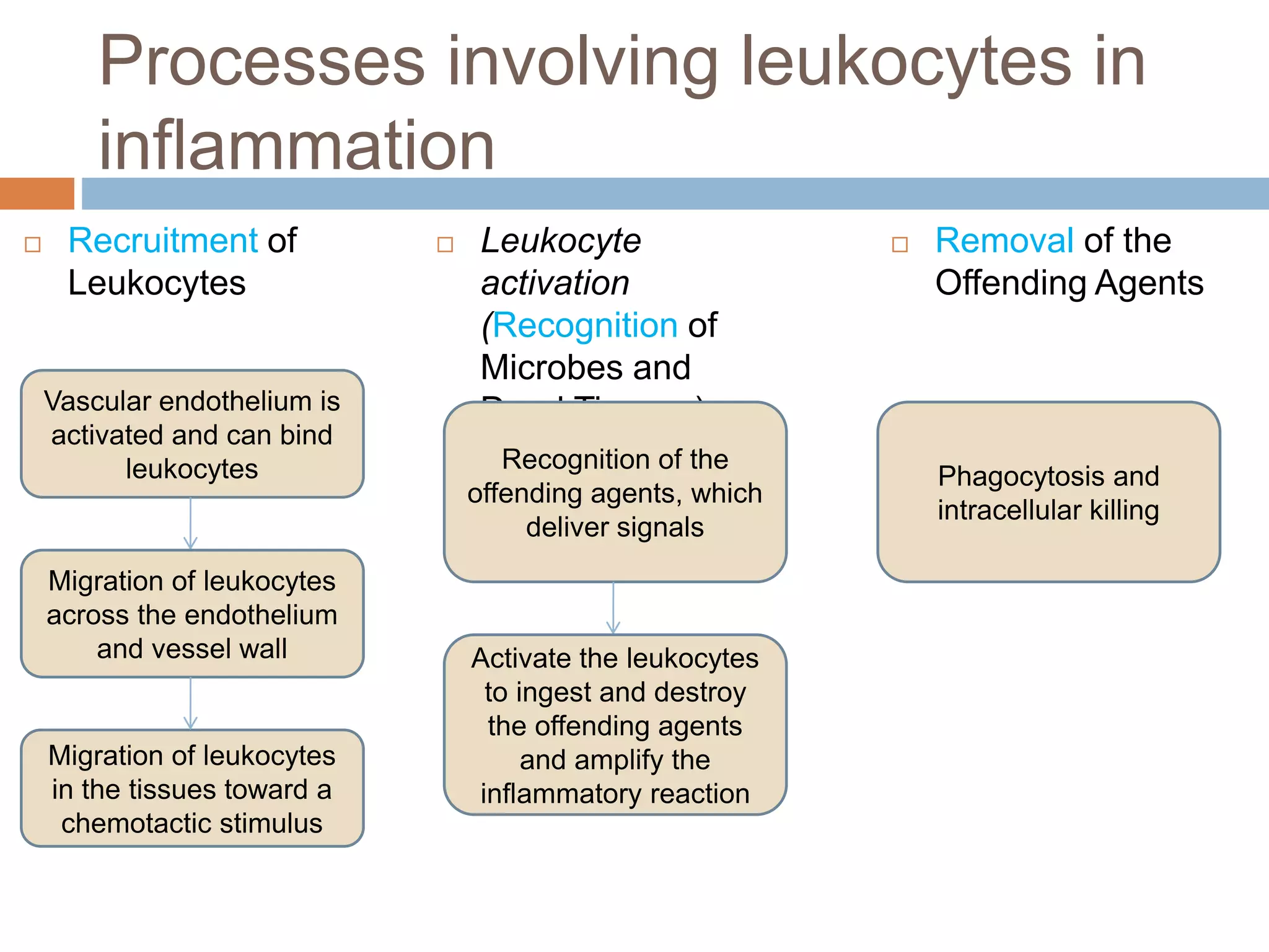Inflammation and repair | PPTX