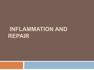 Inflammation and repair | PPTX