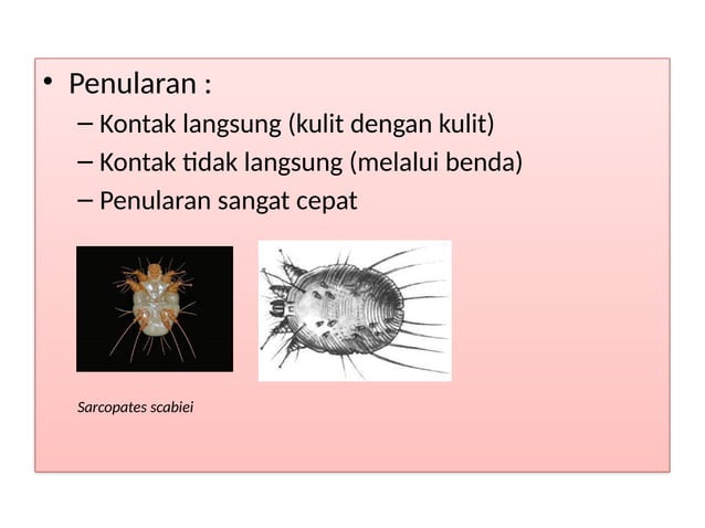 PENYAKIT-KULIT kurap gatal [Autosaved].pptx