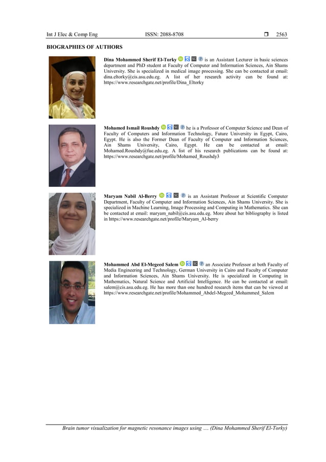 Brain tumor visualization for magnetic resonance images using modified shape-based interpolation ...