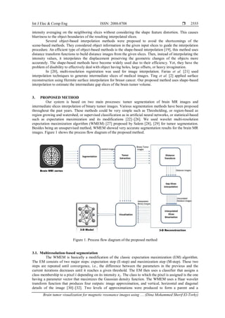 Brain tumor visualization for magnetic resonance images using modified shape-based interpolation ...