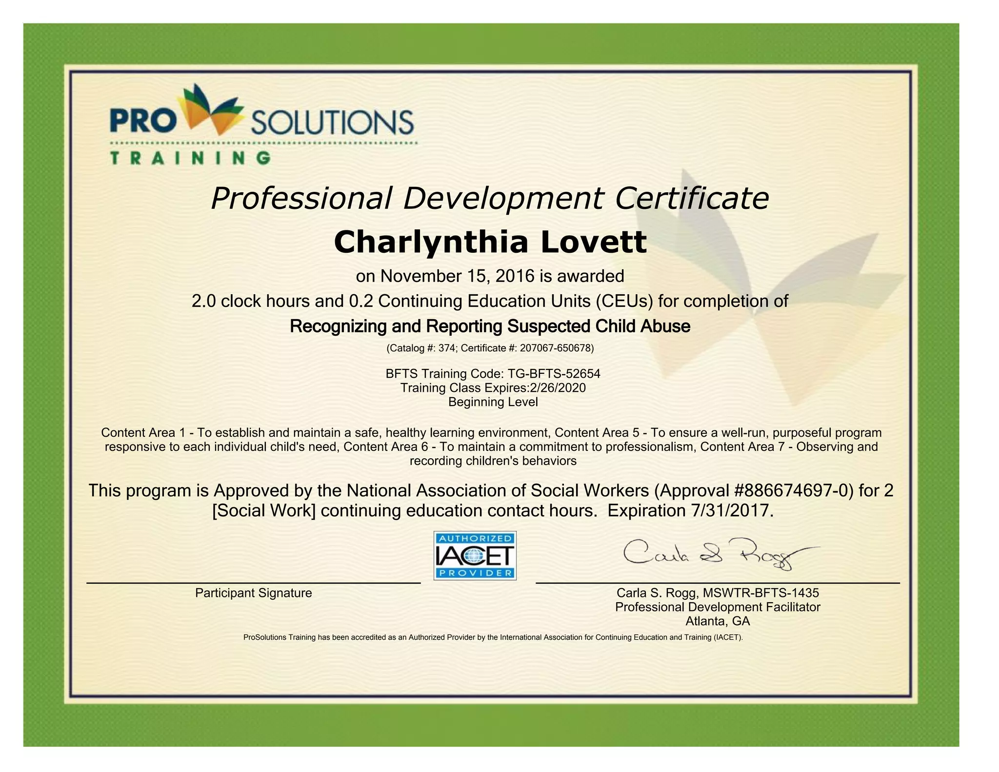 Professional Development Certificate | PDF