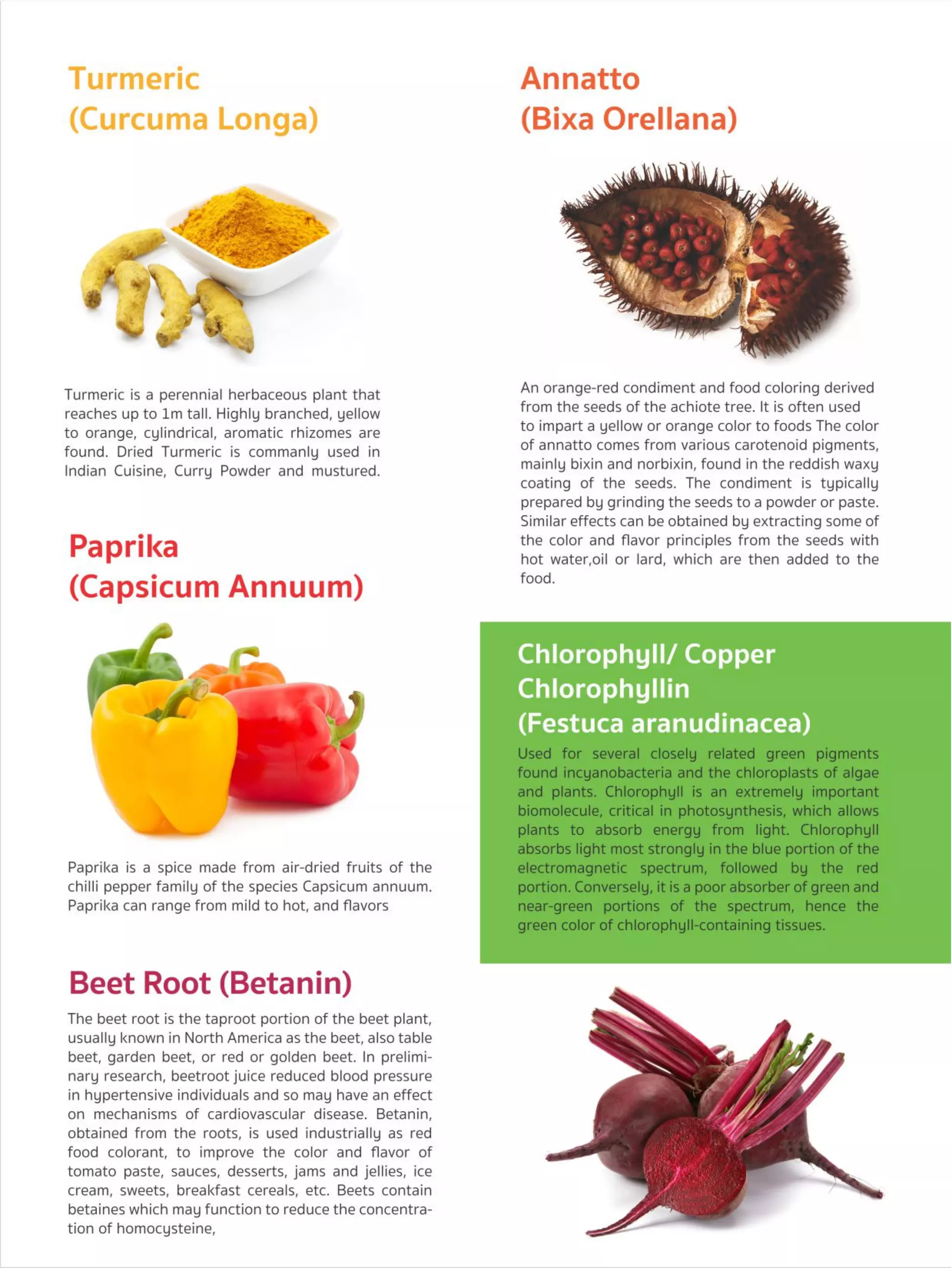 MECOLOR NATURAL FOOD COLOR BROCHURE | PDF