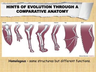 Module-3-Biodiversity-and-Evolution (1).pptx