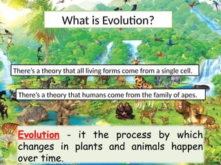 Module-3-Biodiversity-and-Evolution (1).pptx