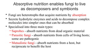 372922285-fungal-nutrition-240423182417-61e09efc.pptx