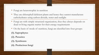 372922285 -important Fungal-Nutrition.ppt