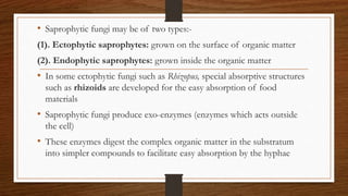 372922285 -important Fungal-Nutrition.ppt