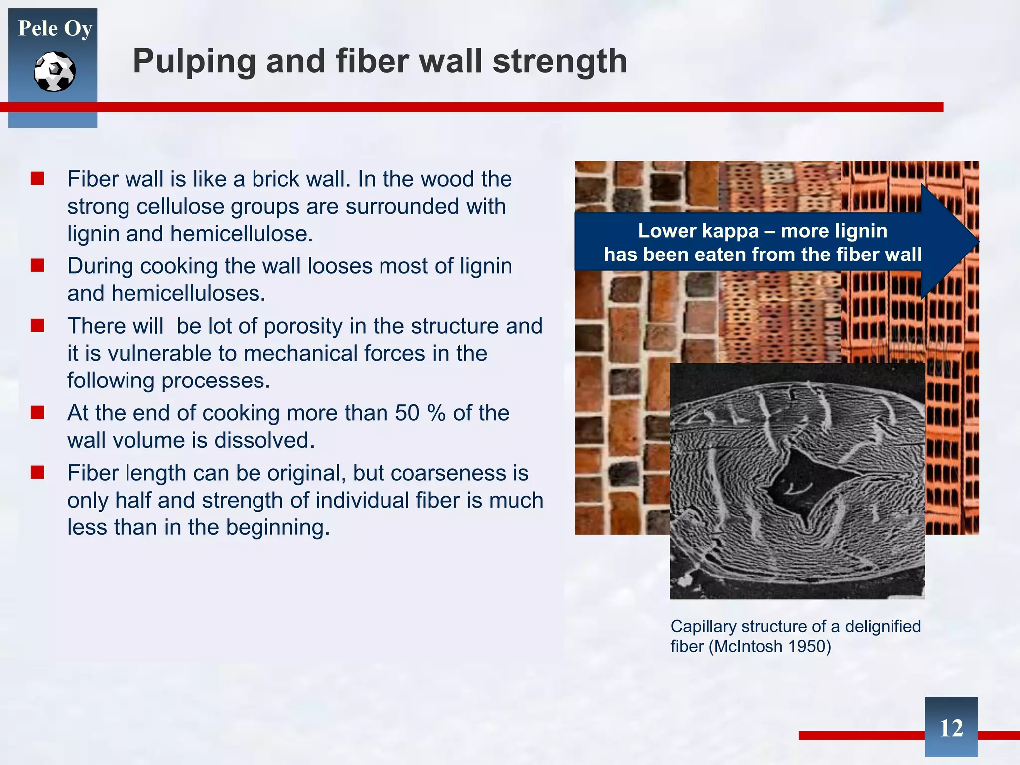Potential of Papermaking Fibers | PPT