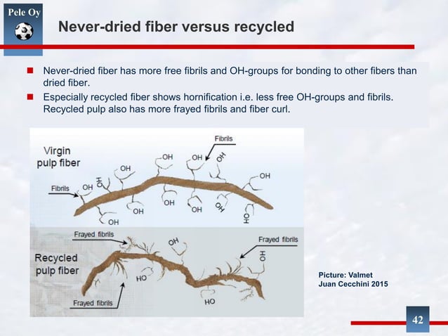 Potential of Papermaking Fibers