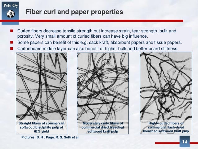 Potential of Papermaking Fibers